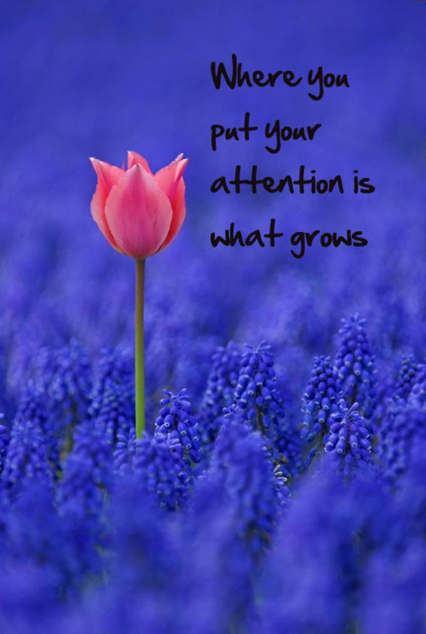 What is working for you? – Savitree Kaur