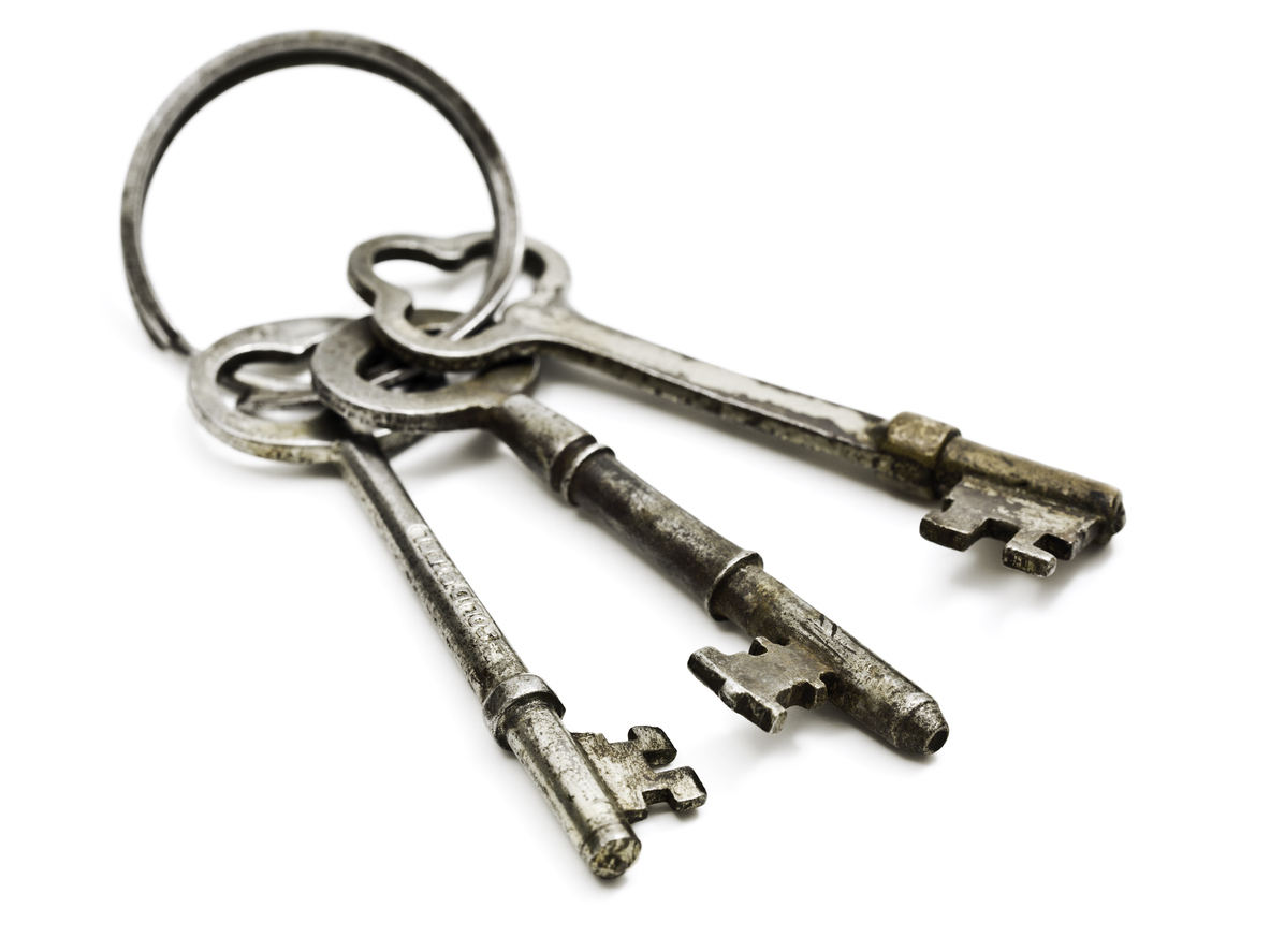 Course Overview – Savitree Kaur